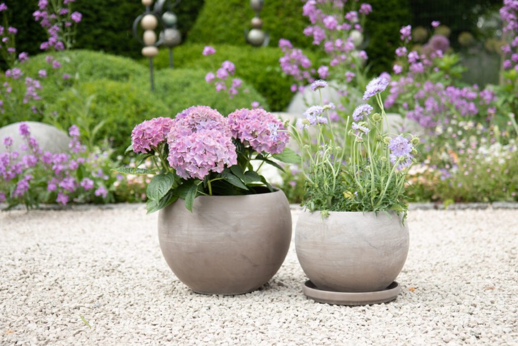 Washington Pottery Company