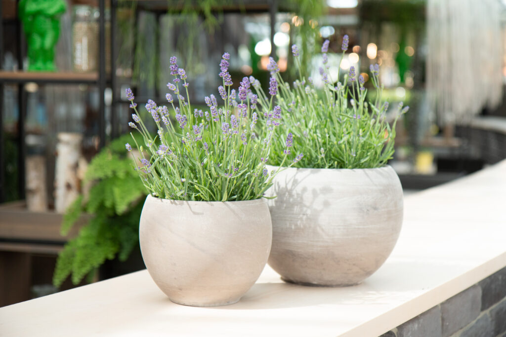 Washington Pottery Company