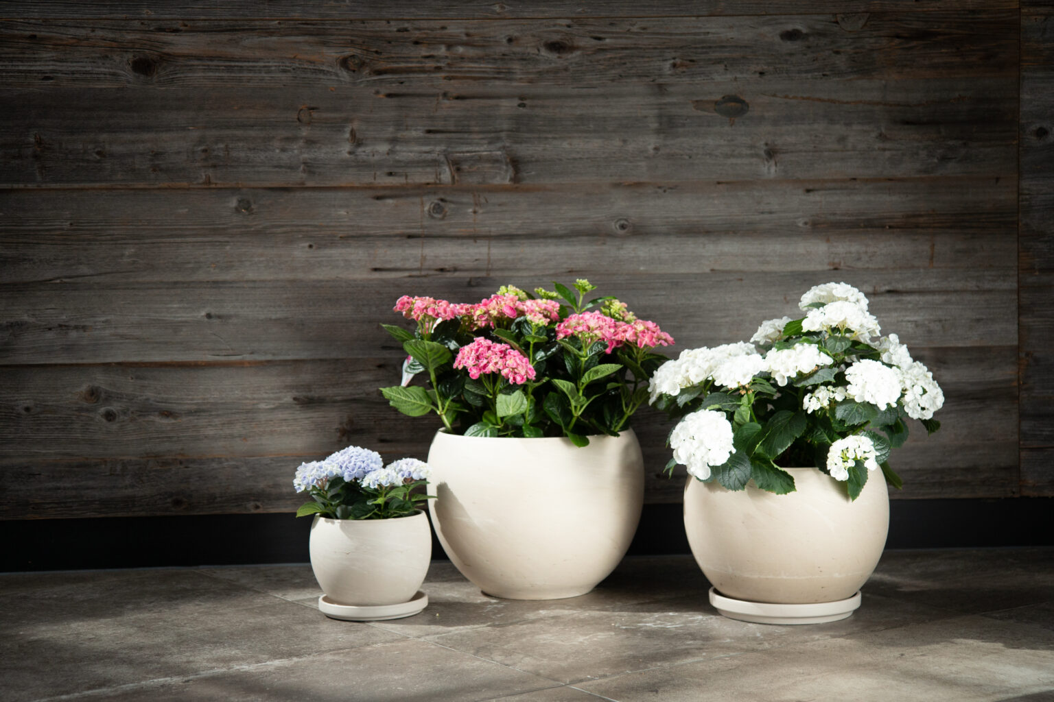 Washington Pottery Company