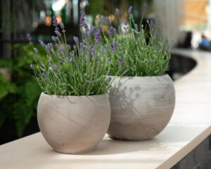 Washington Pottery Company