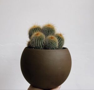 Washington Pottery Company