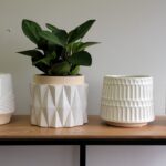 Washington Pottery Company