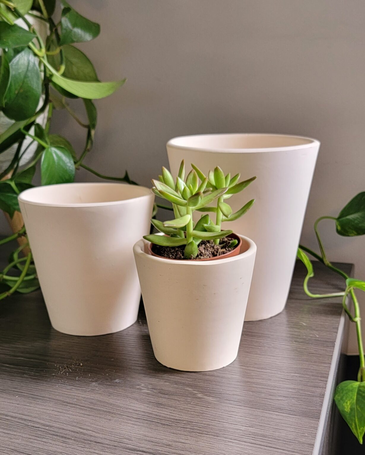 Washington Pottery Company