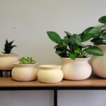 Washington Pottery Company