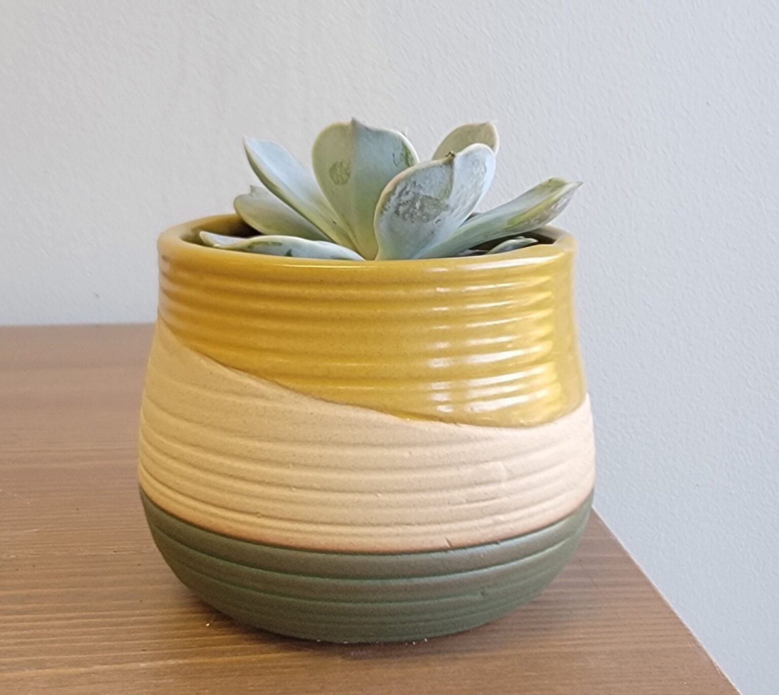 Washington Pottery Company