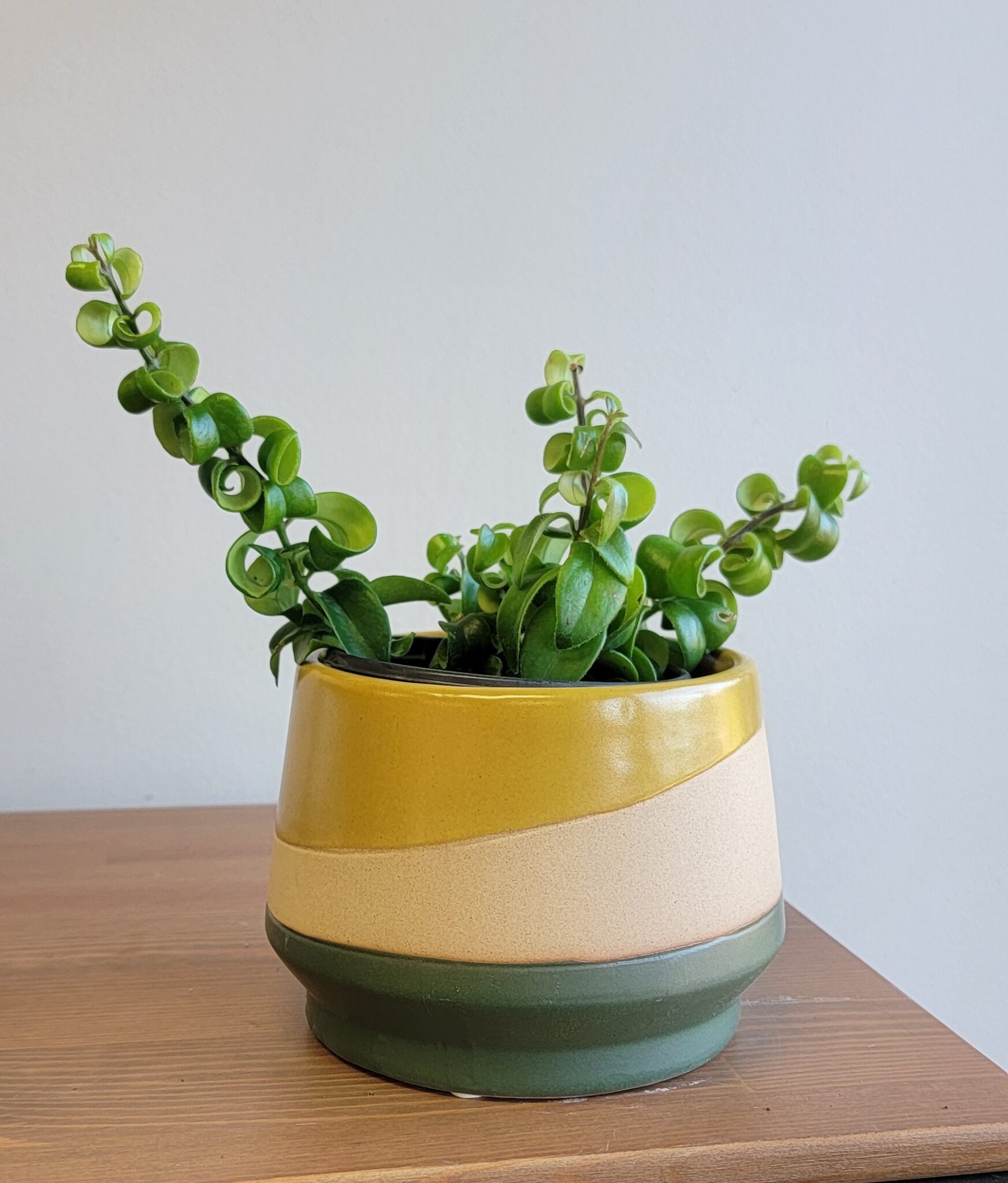 Washington Pottery Company