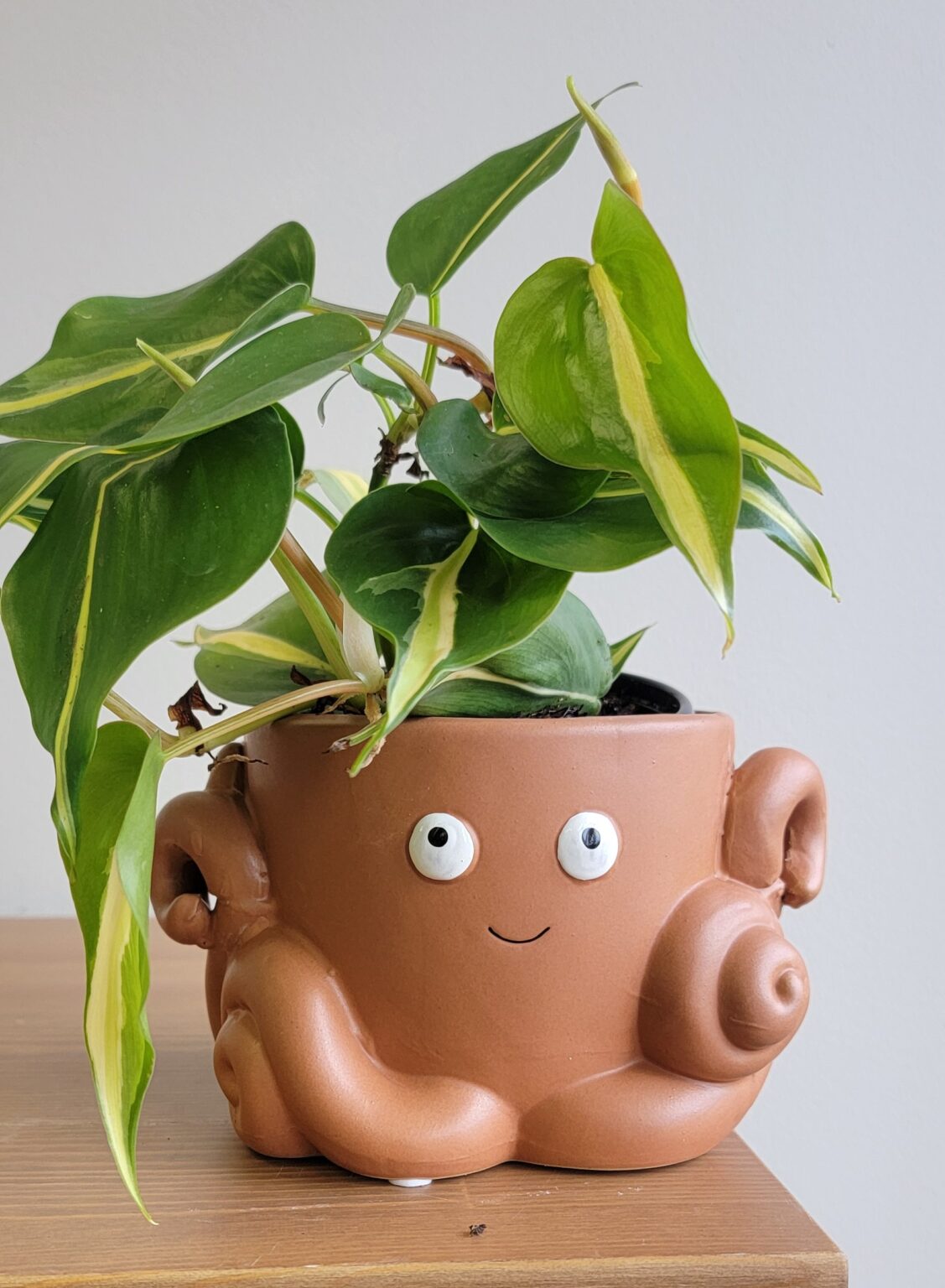 Washington Pottery Company